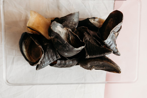 Cow toe. Unfilled. | Dog Snacks