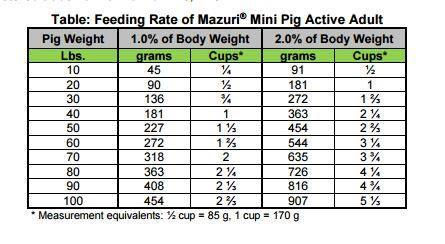 Feeding your Kunekune Pig