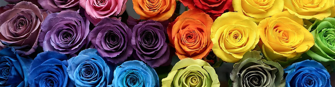 Flower Wholesaler Shipping Nation Wide | Tropical Roses Wholesaler