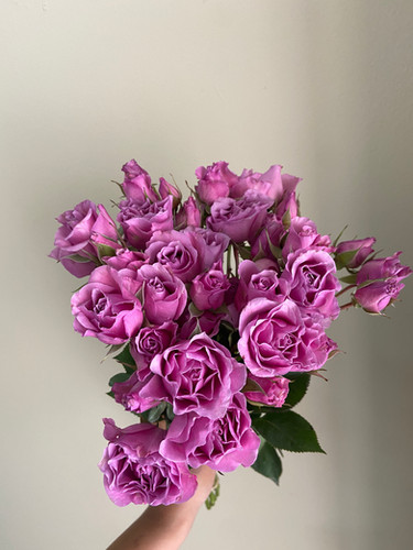 Mini Spray Roses Lilac - 10 stems per bunch | Tropical Roses | The ...