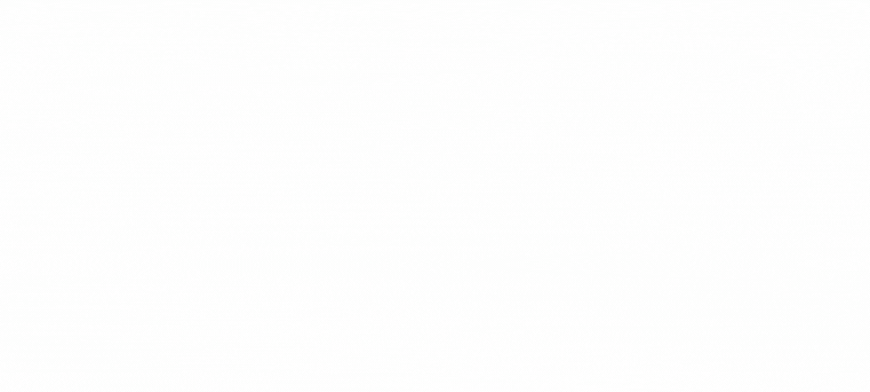 Flower Wholesaler Shipping Nation Wide | Tropical Roses Wholesaler