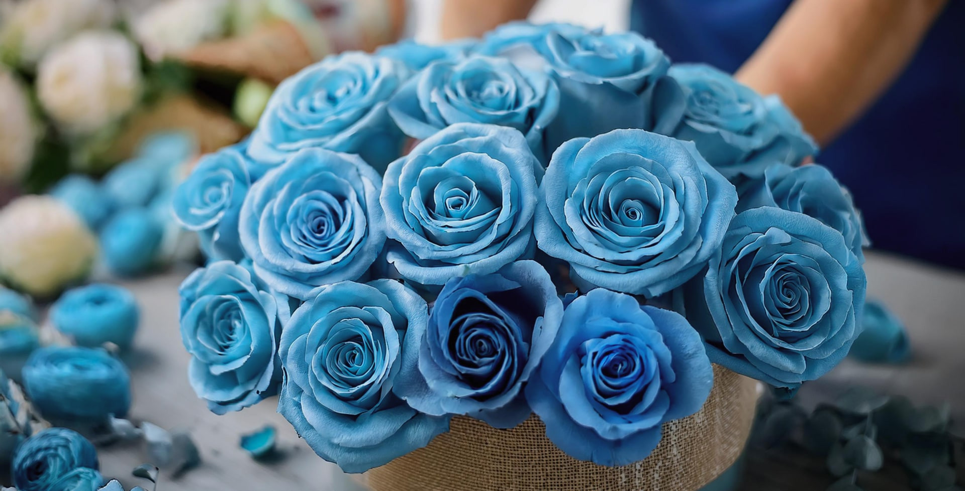 Blue Roses: A DIY Dream