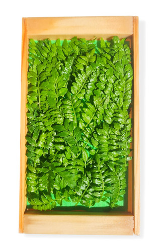 Sansho Leaves from Japan - Kinome | ISSé JAPAN