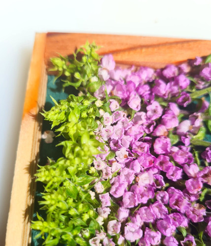 ほじそ。Hanahoshiso | ISSé FRANCE