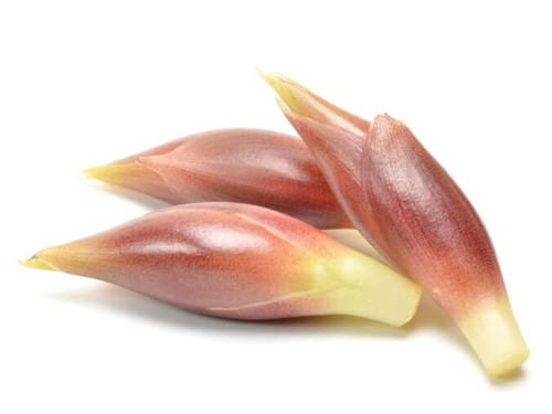 Myoga Jengibre Japonés - 3 unidades | ISSé JAPAN