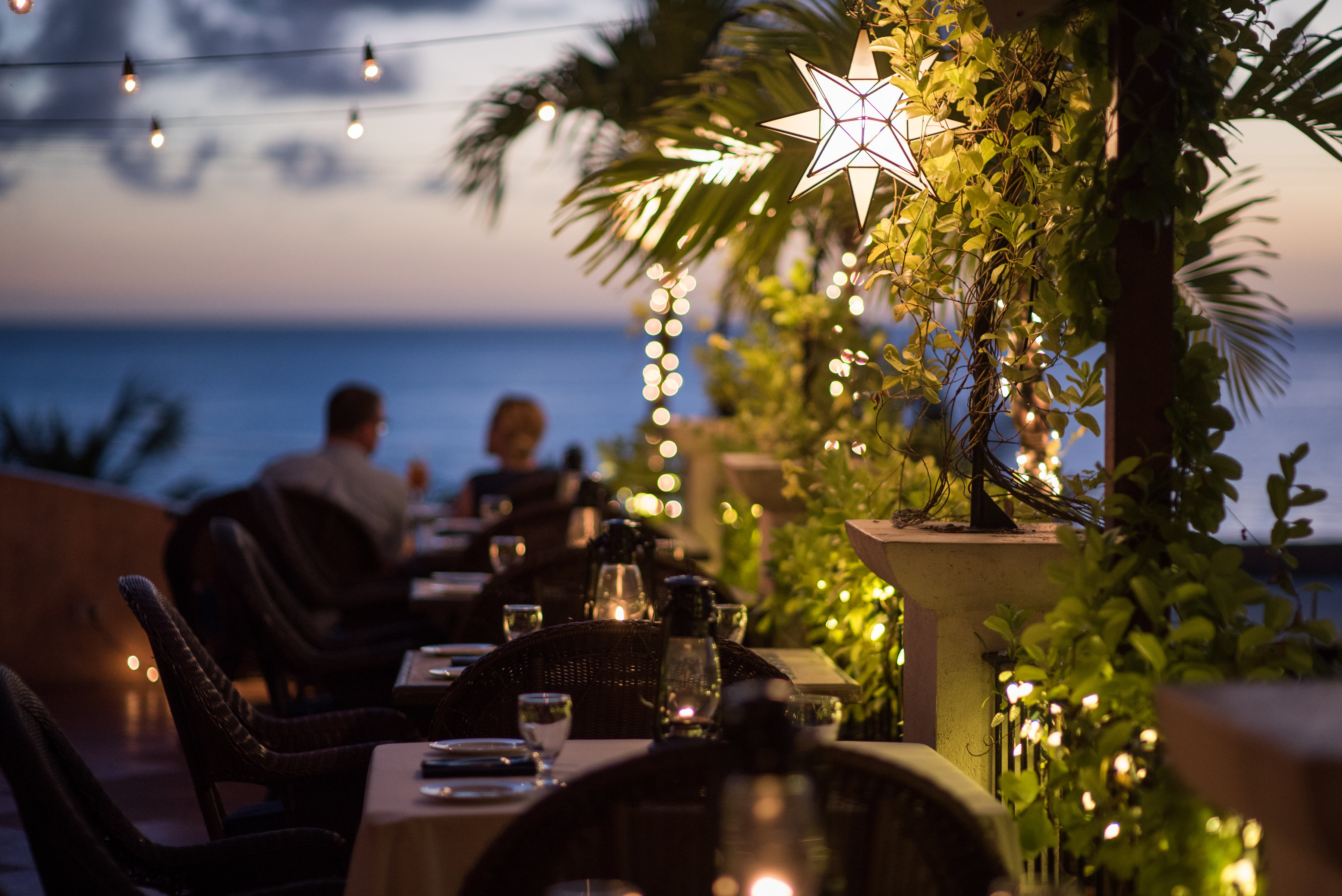 Cafe-luna-gallery | Barbados | Cafe Luna Barbados