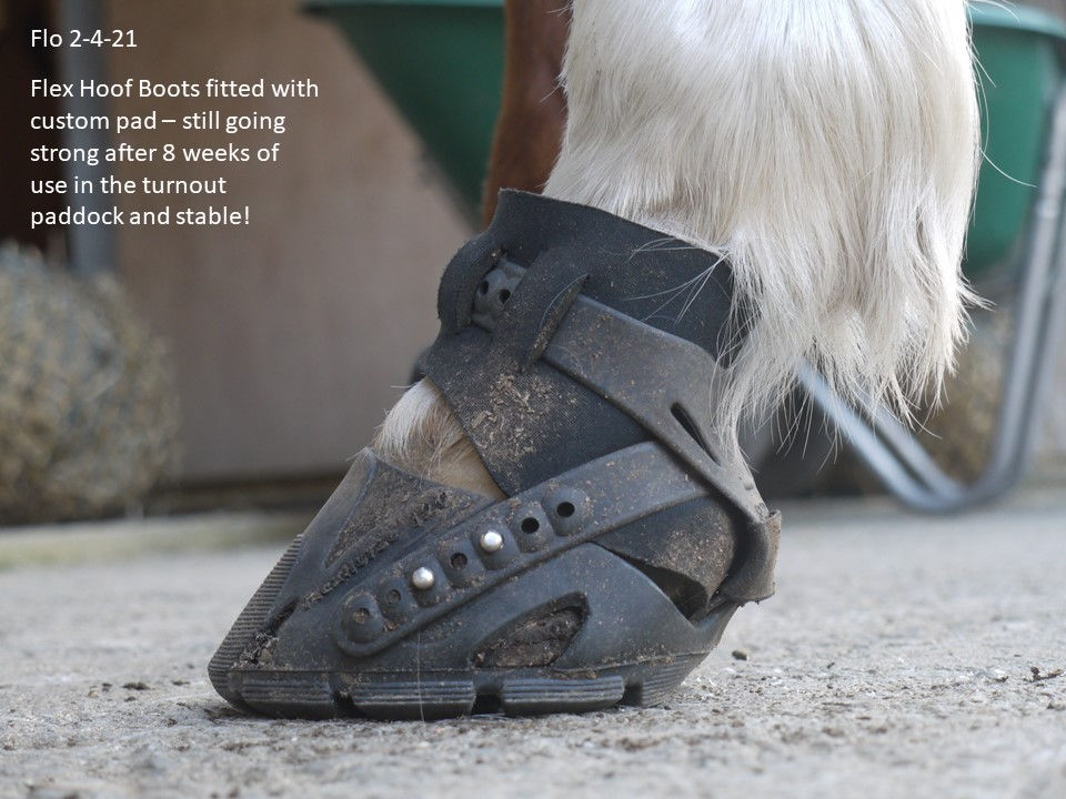 Guide to Using Hoof Boots and Pads