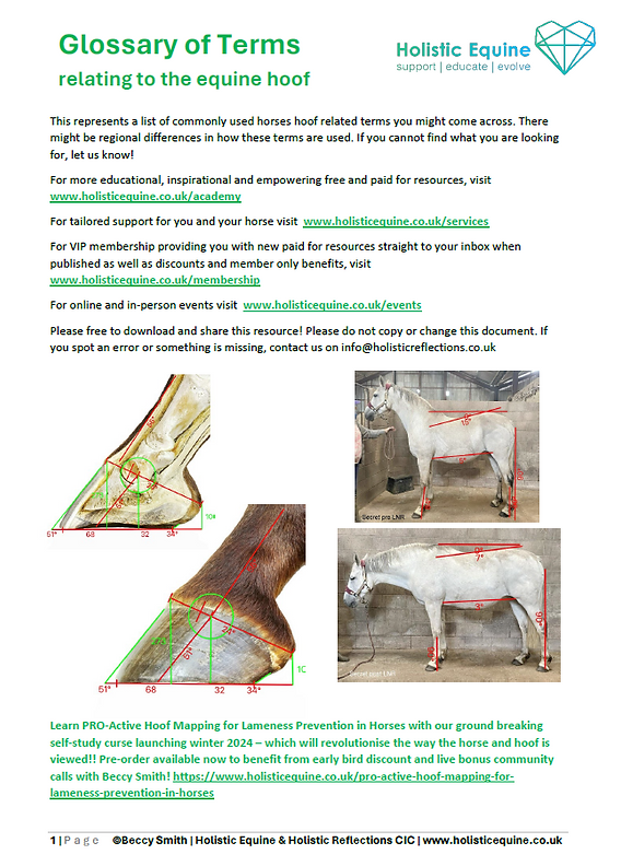 do hooves have nerves