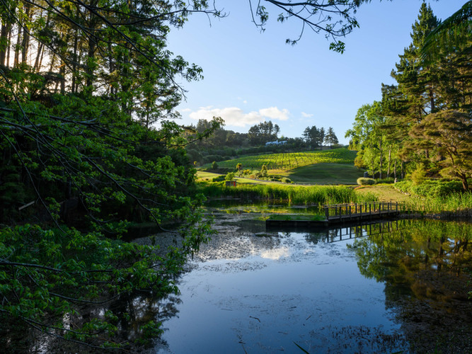 Paroa Bay Winery | Bay of Islands, New Zealand