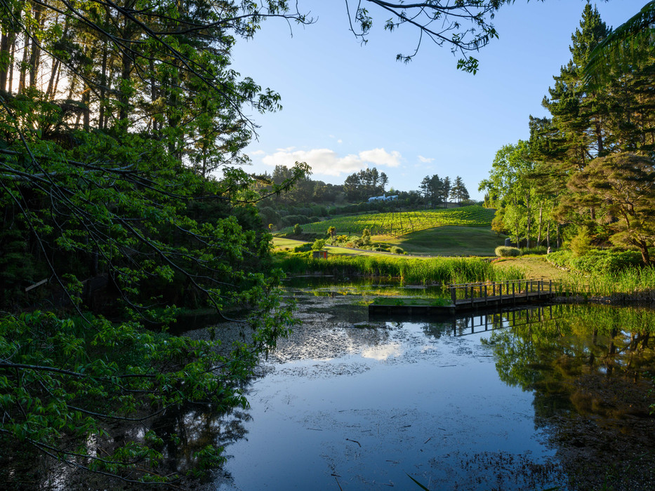 Paroa Bay Winery | Bay of Islands, New Zealand | The Lindis Group