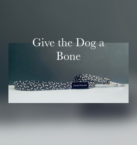 Give the Dog a Bone Print Dog Lead | cornish-dog-wear