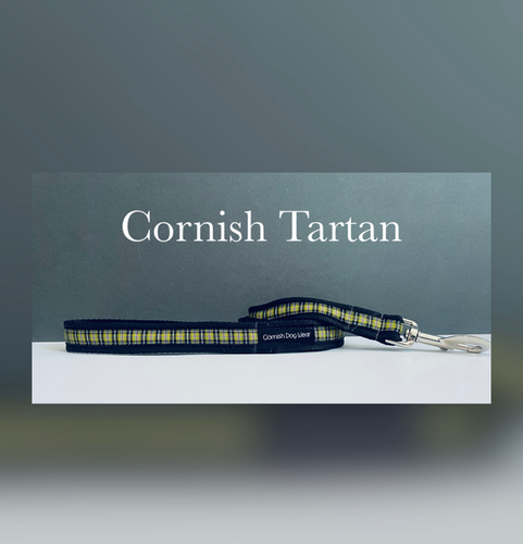 Cornish Tartan Dog Lead | cornish-dog-wear
