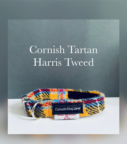 Harris Tweed Cornish Tartan Dog Collar | cornish-dog-wear