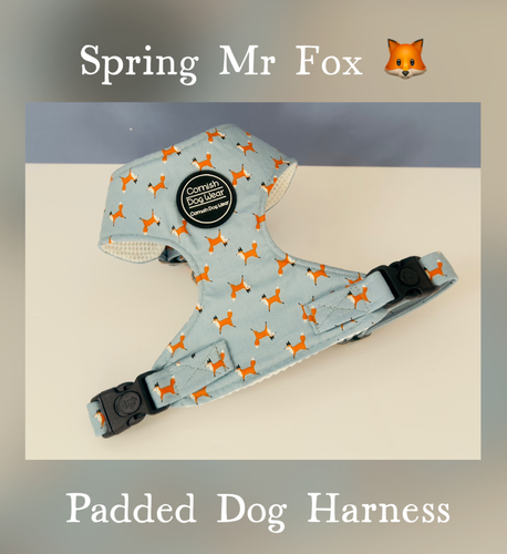 Spring Mr Fox 🦊 Padded Dog Harness | cornish-dog-wear