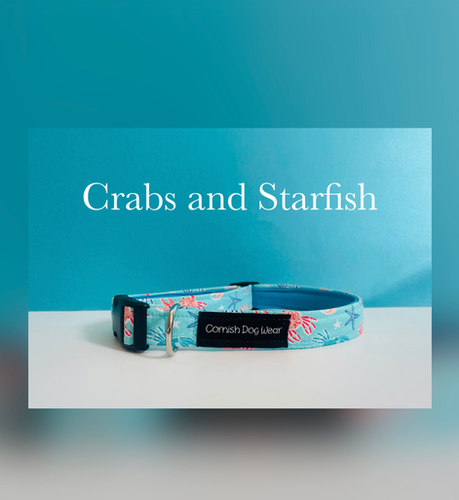 Crabs and StarFish Dog Collar | cornish-dog-wear