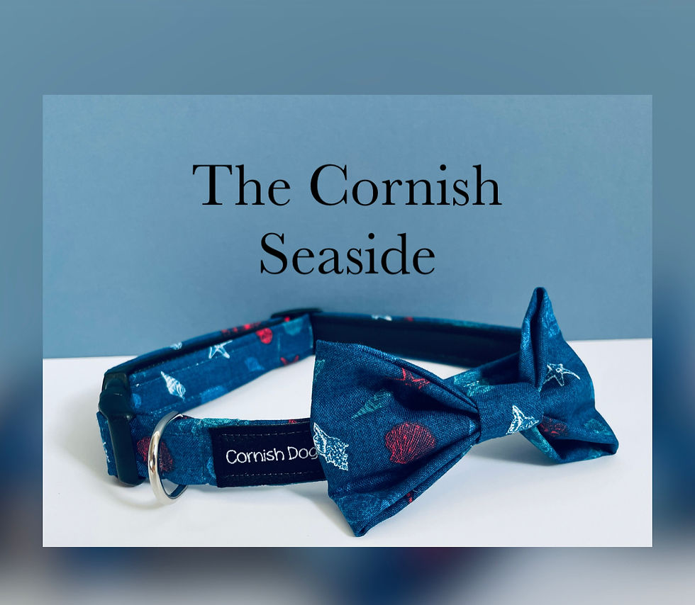 Funky Fabric dog collars designed and made by Cornish Dog Wear