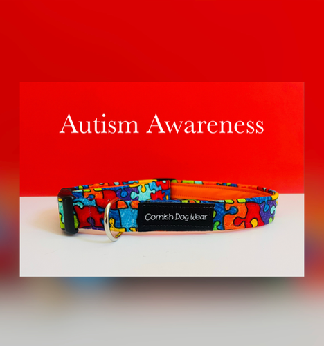 Autism Awareness Dog Collar | cornish-dog-wear