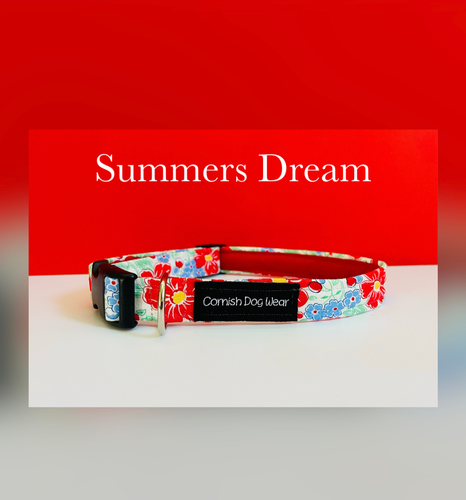 Summers Dream Dog Collar | cornish-dog-wear