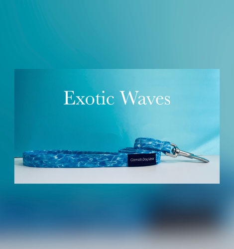 Exotic Waves Dog Lead | cornish-dog-wear