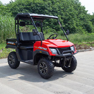 200cc UTV EFI | ricky-power-sports