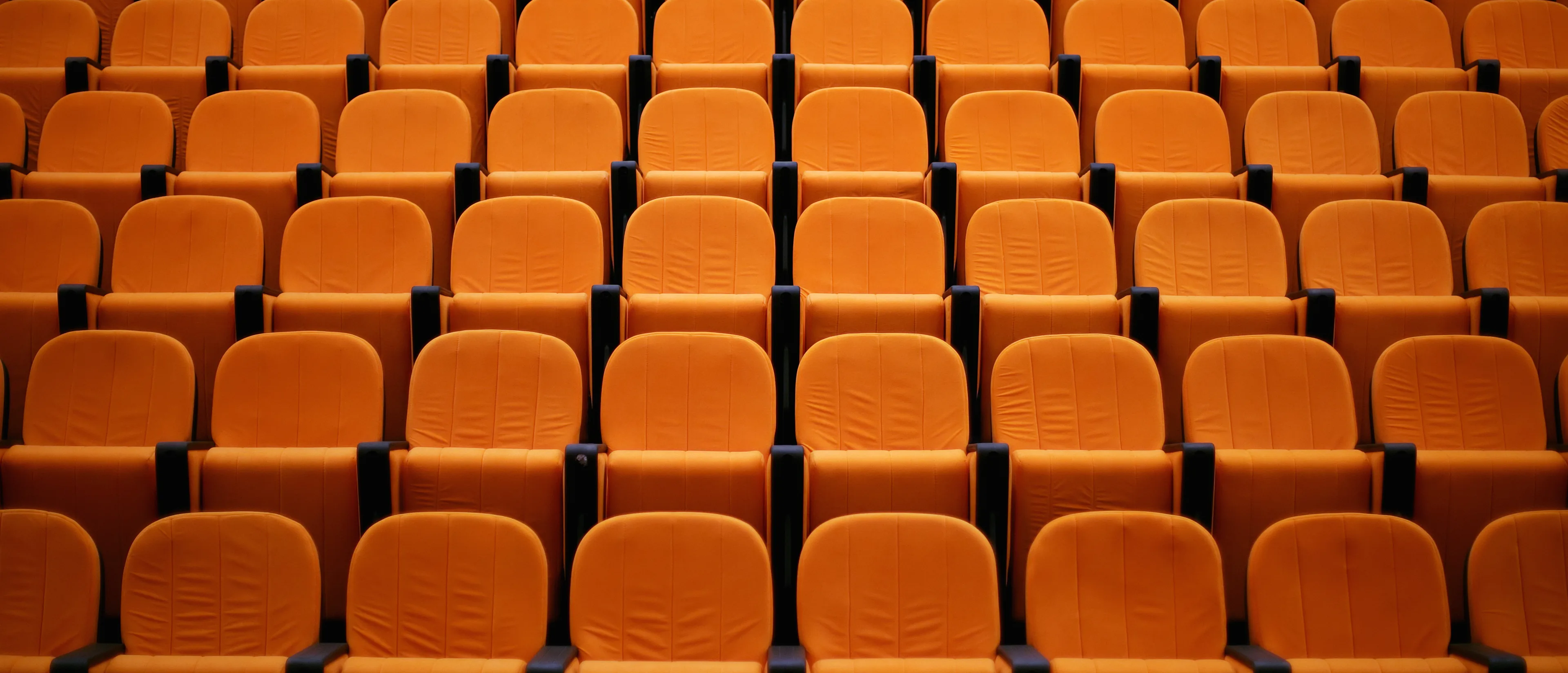 Fashion | Dominique Norman