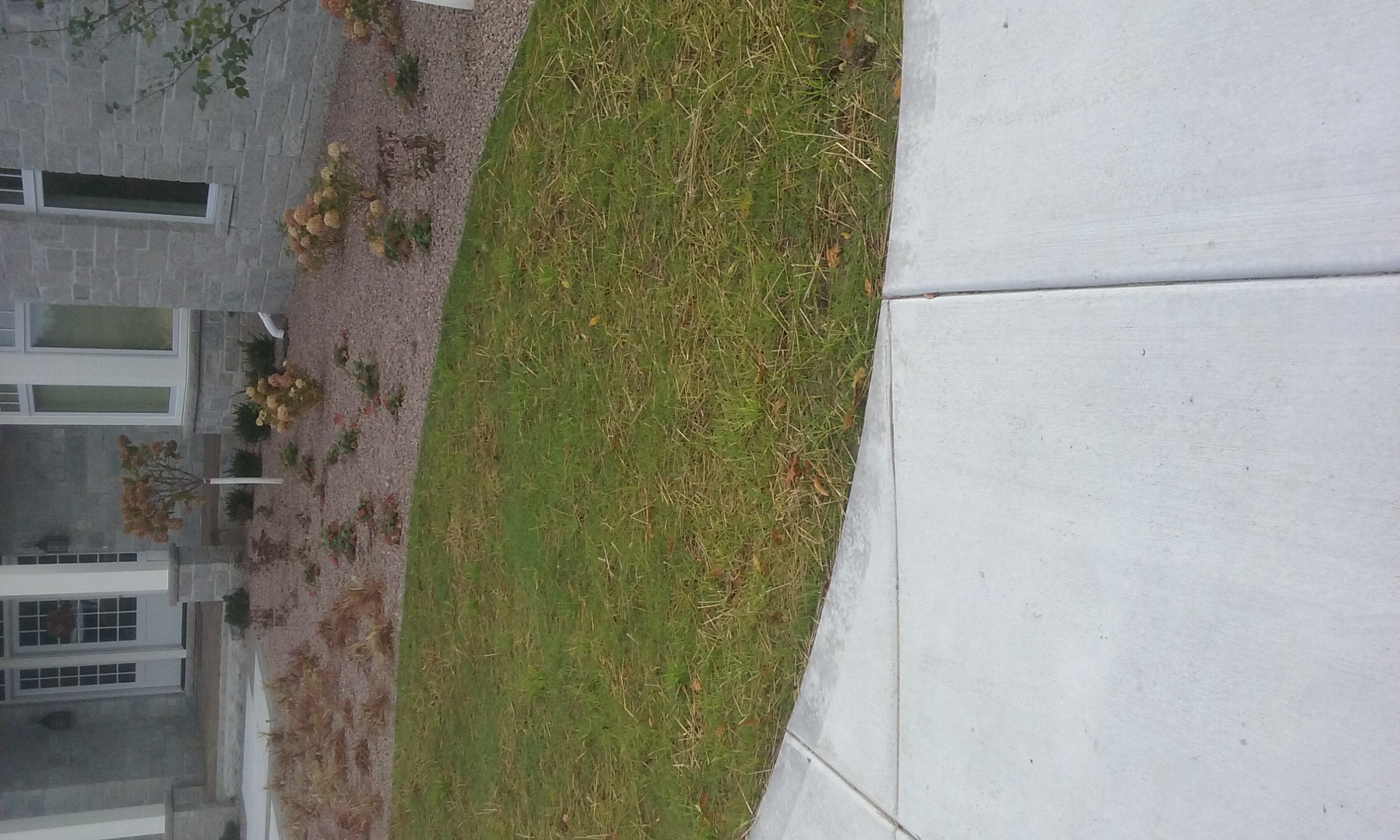 Rough Grading and Excavating give landscapes full customization