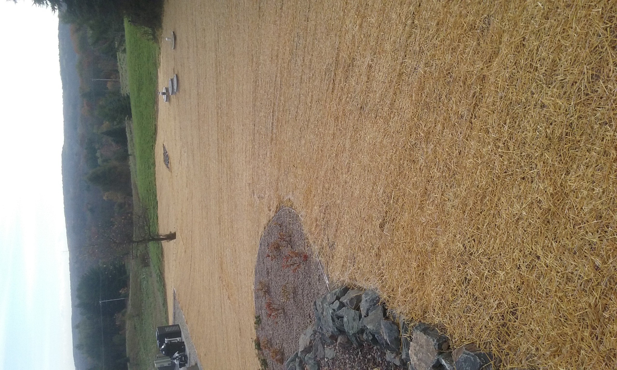 Rough Grading and Excavating give landscapes full customization