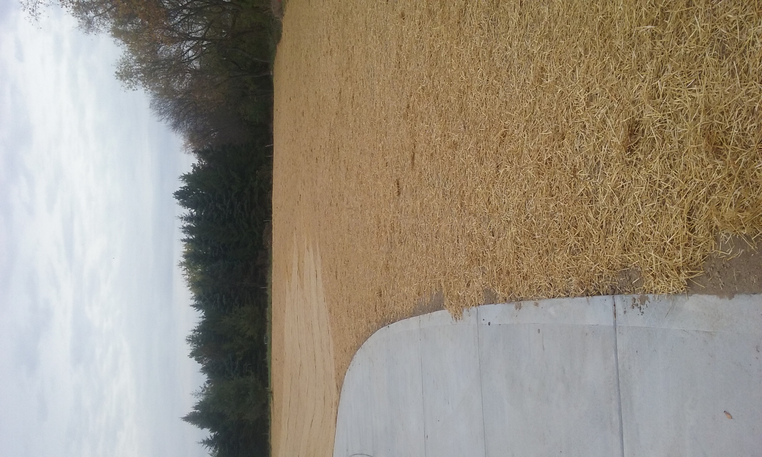 Rough Grading and Excavating give landscapes full customization