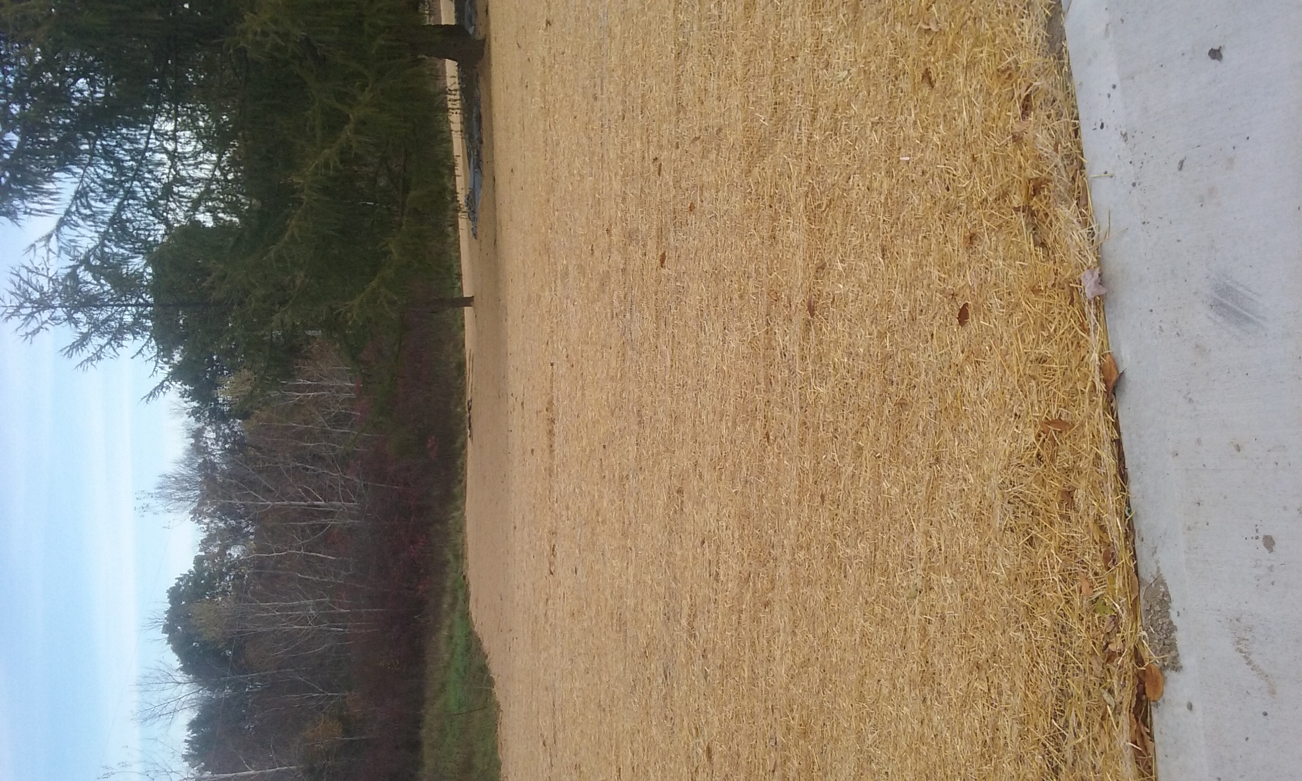 Rough Grading and Excavating give landscapes full customization