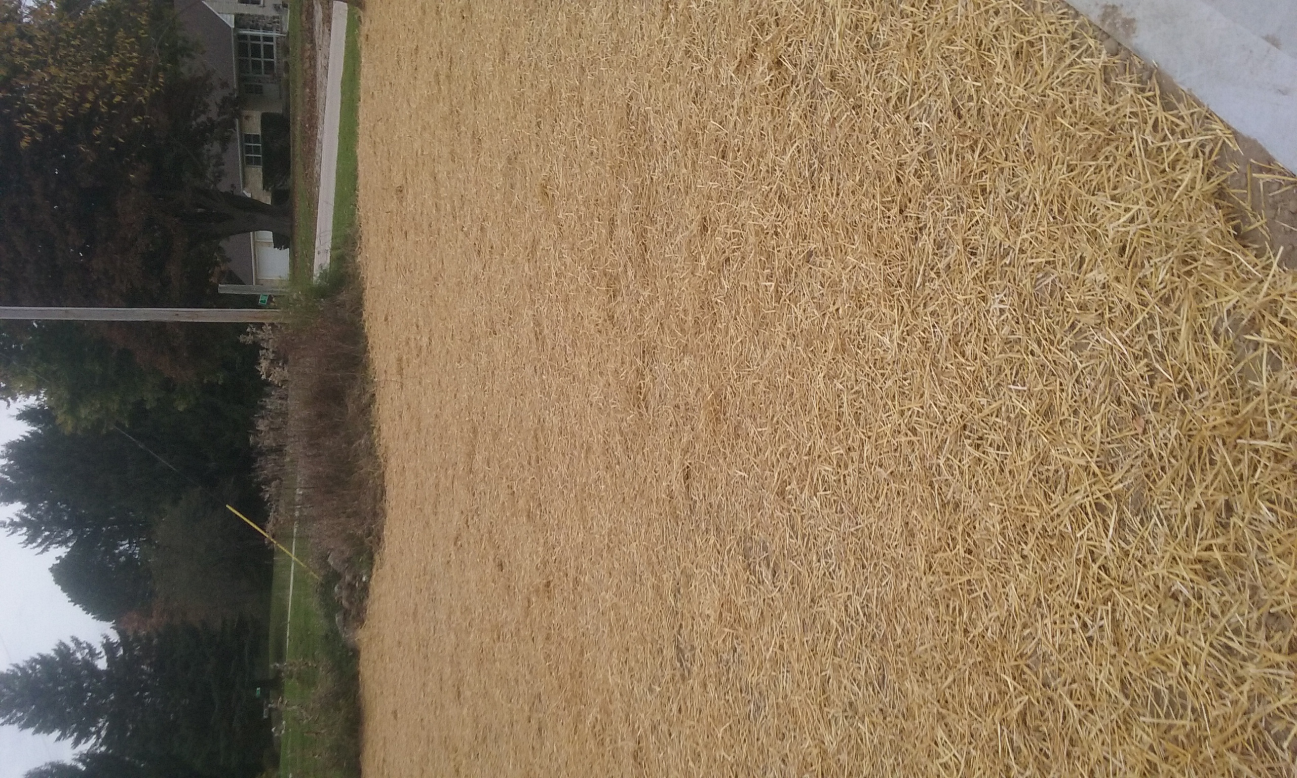 Rough Grading and Excavating give landscapes full customization