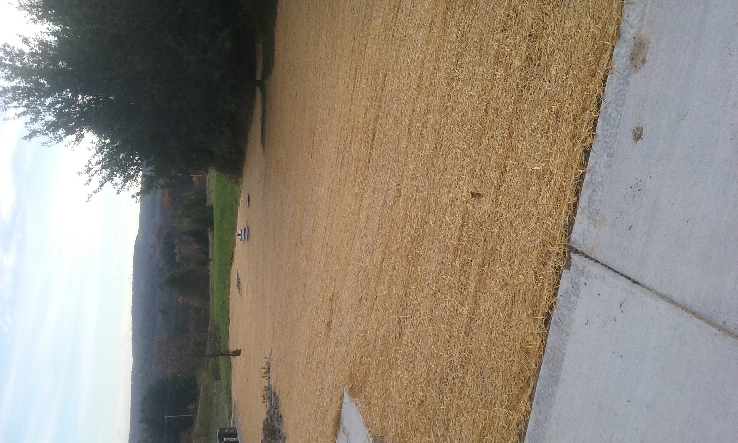 Rough Grading and Excavating give landscapes full customization