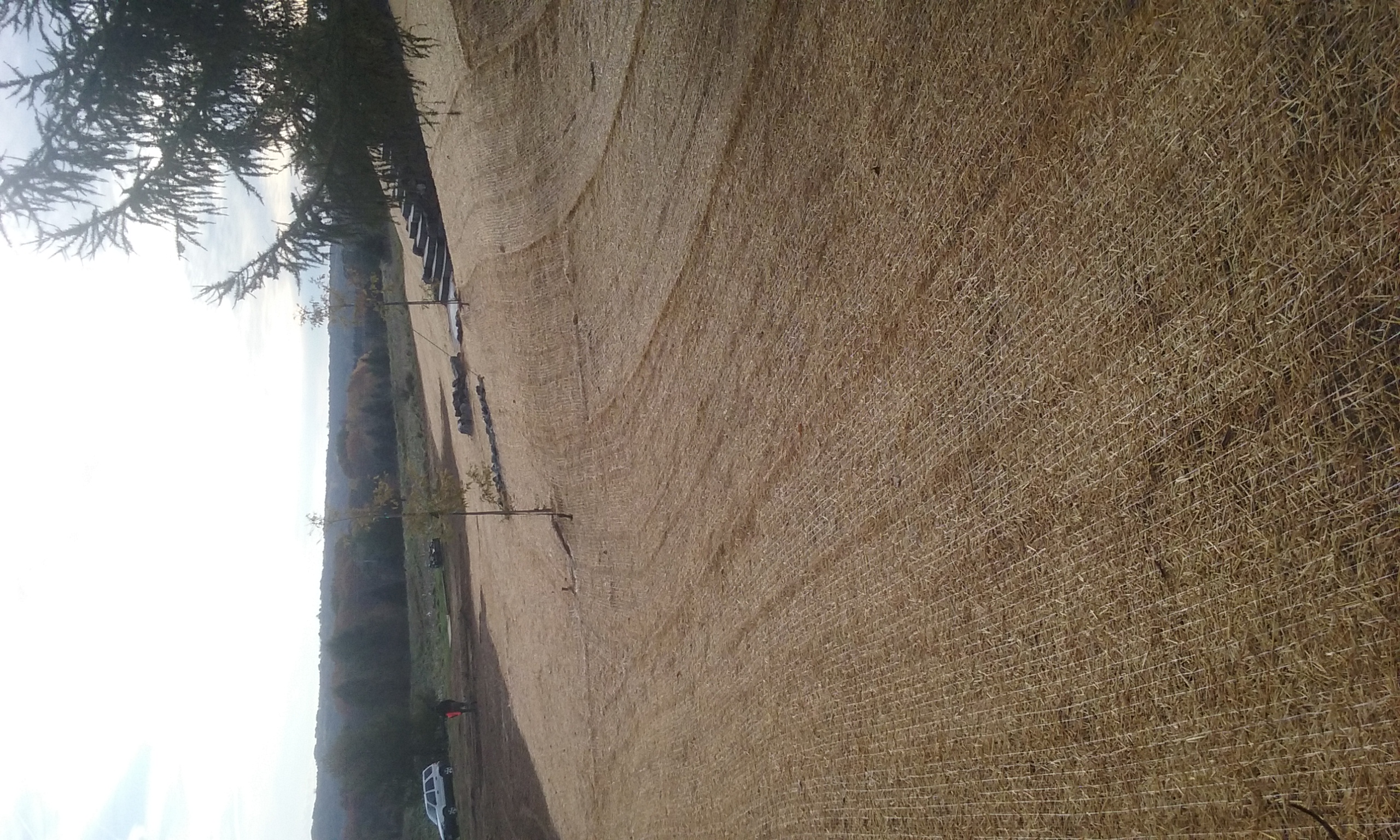 Rough Grading and Excavating give landscapes full customization