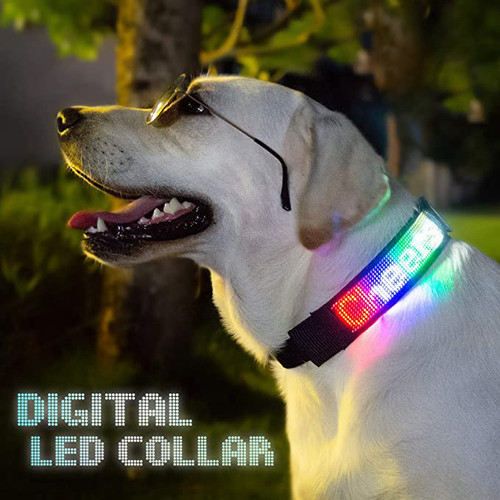 Led Collar With Programmable Display | Greenz