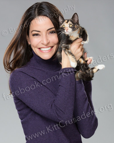 The Morrigan's Kitty | kittcrusaders