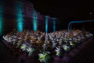 winterlights dark matter