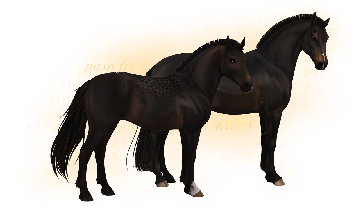 Die Ausstattung | Blind Scorpions