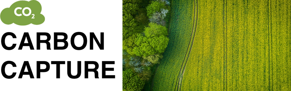 EMERGING ENERGY | EvrazNA