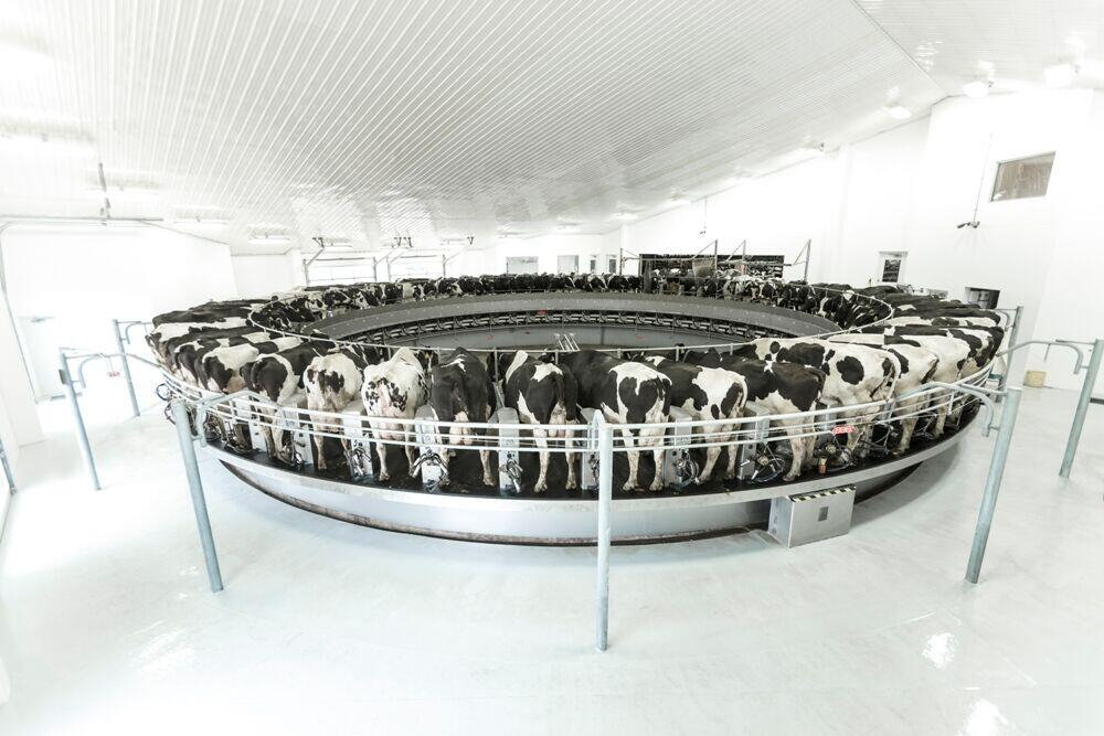 Rotary Parlor | MEYER ELECTRIC