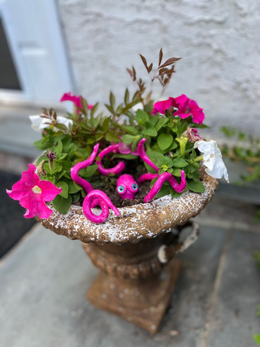 Puss in Roots | My Sweet Adeline Art