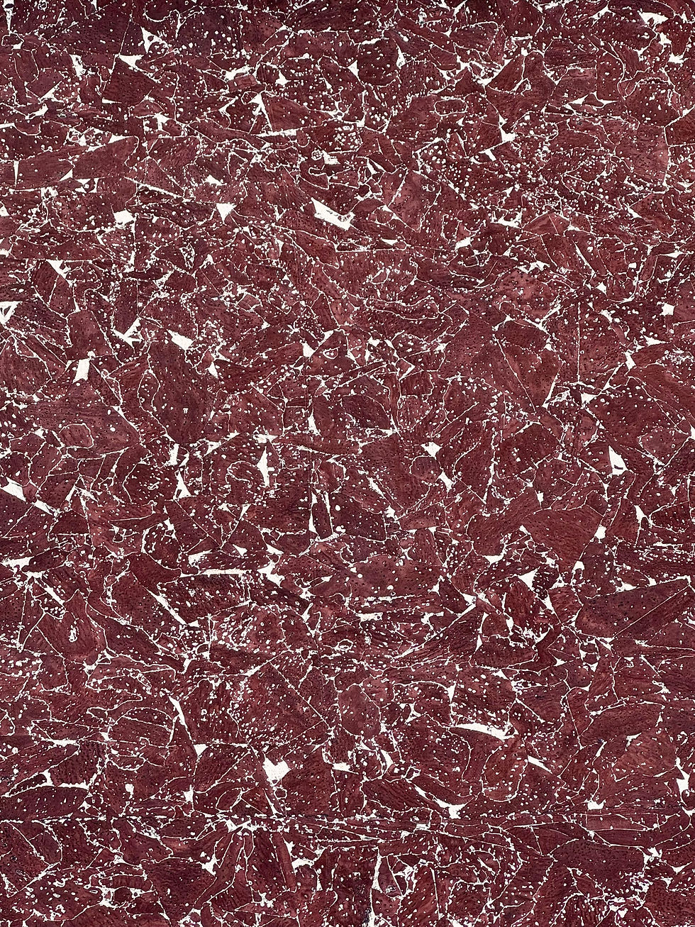 Clearance | Beach Potato