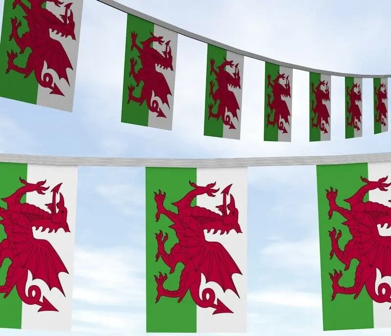 Visit Caernarfon - The Importance of Preserving the Welsh Language for ...