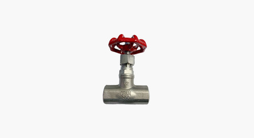 Threaded End SS316 Globe Valve 200PSI | AF Hydro
