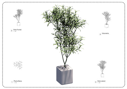 M Plant 55 Vase Revit Scalable | RevitImport