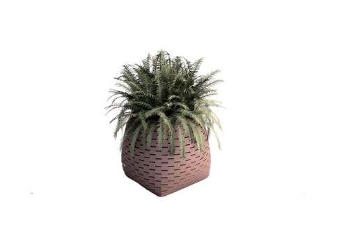 M Plant 116 Revit High Quality | RevitImport