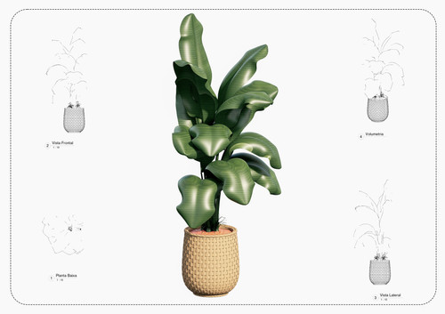 V Palm Vegetation Revit High Quality | RevitImport