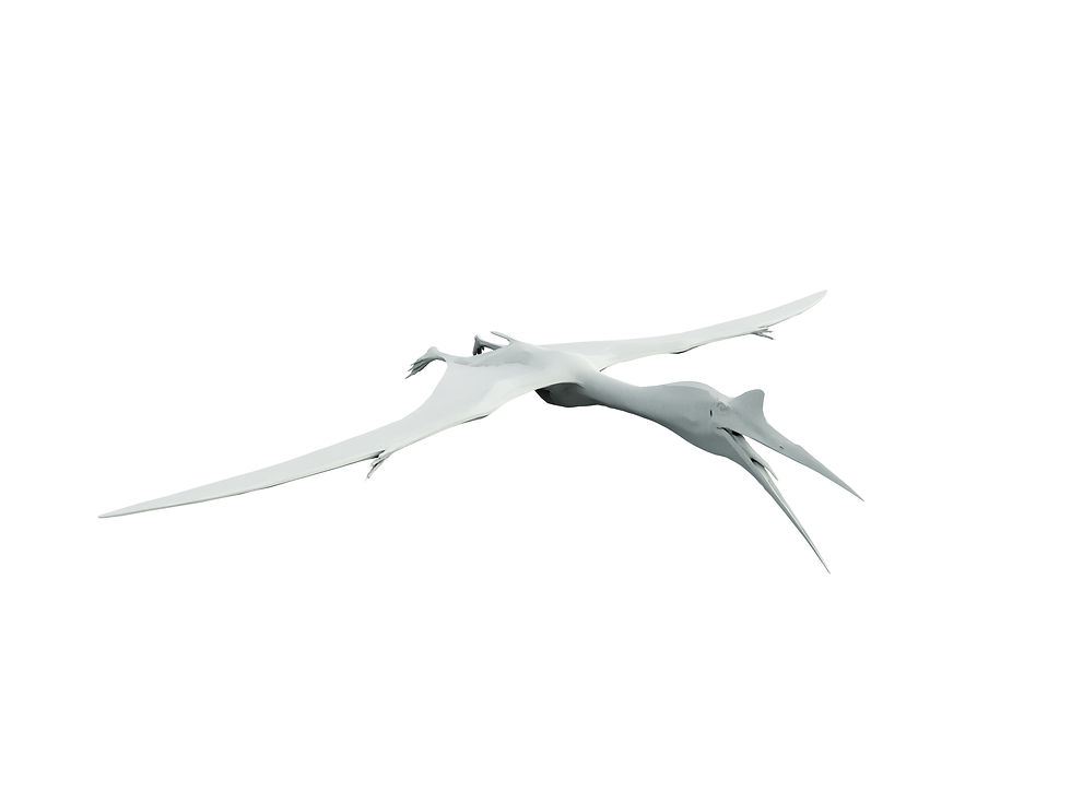 M Scalable Dinosaur D_Quetzalcoatlus Toy Revit | RevitImport