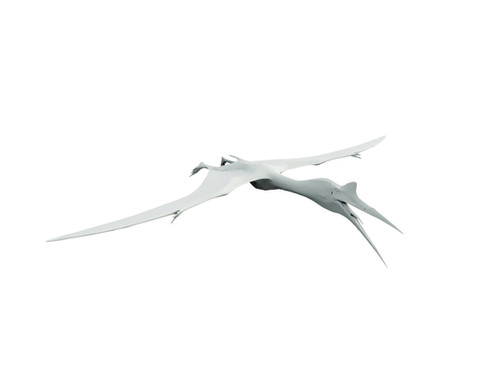 M Scalable Dinosaur D_Quetzalcoatlus Toy Revit | RevitImport