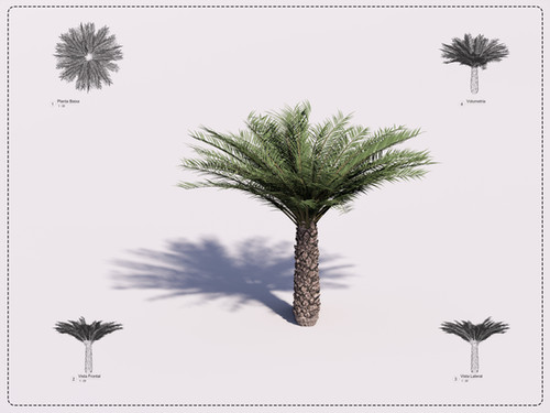 Plant Revit 16 High Quality | RevitImport
