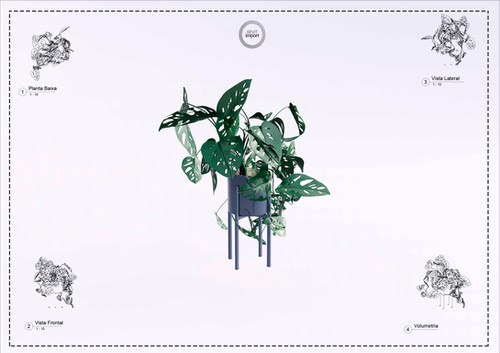 V Monstera Vegetation Revit High Quality | RevitImport