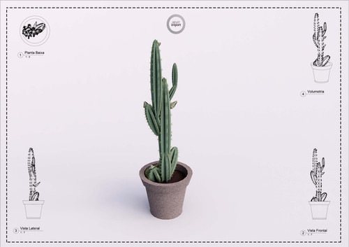 R Plant Cacto Mandacaru Revit High Quality | RevitImport
